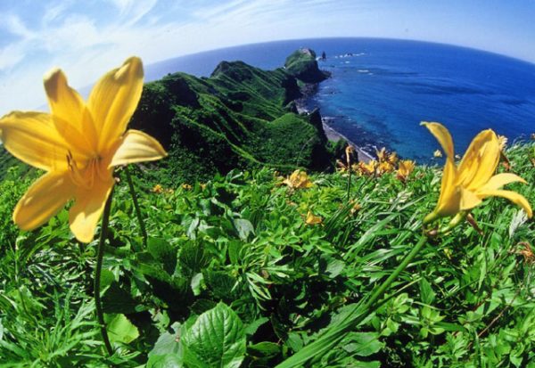 Cape Kamui and Kamui Rock – Shakotan Tourism Association